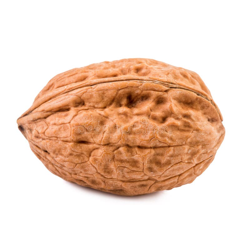 Una Nuez En El Fondo Blanco Primer Foto de archivo - Imagen de salud ...