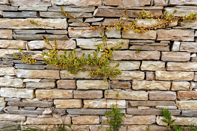 Una Pared De Piedra Seca Moderna Imagen de archivo - Imagen de tallado ...