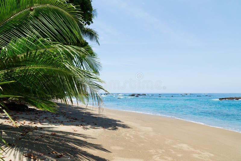 Una playa natural foto de archivo. Imagen de planta, nubes - 63891120