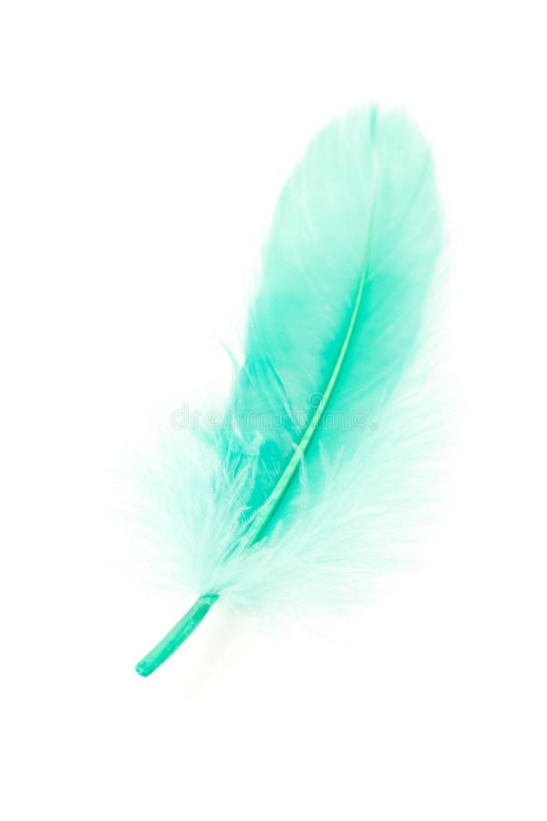 Pluma Verde foto de archivo. Imagen de fondo, mullido - 9985774