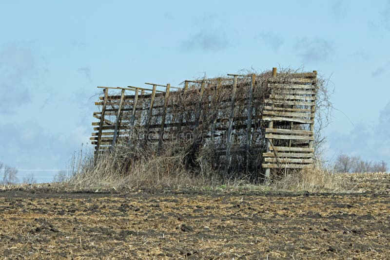 Una Vecchia Greppia Vuota Del Cereale Fotografia Stock - Immagine di ...