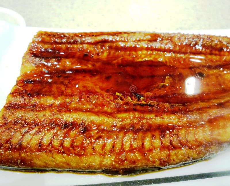 Unagi stock photo. Image of grilled, gourmet, seafood - 53363404
