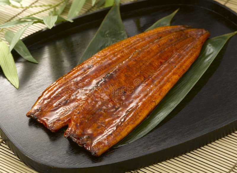 Unagi(eel) stock photo. Image of freshwater, japanese - 5902422