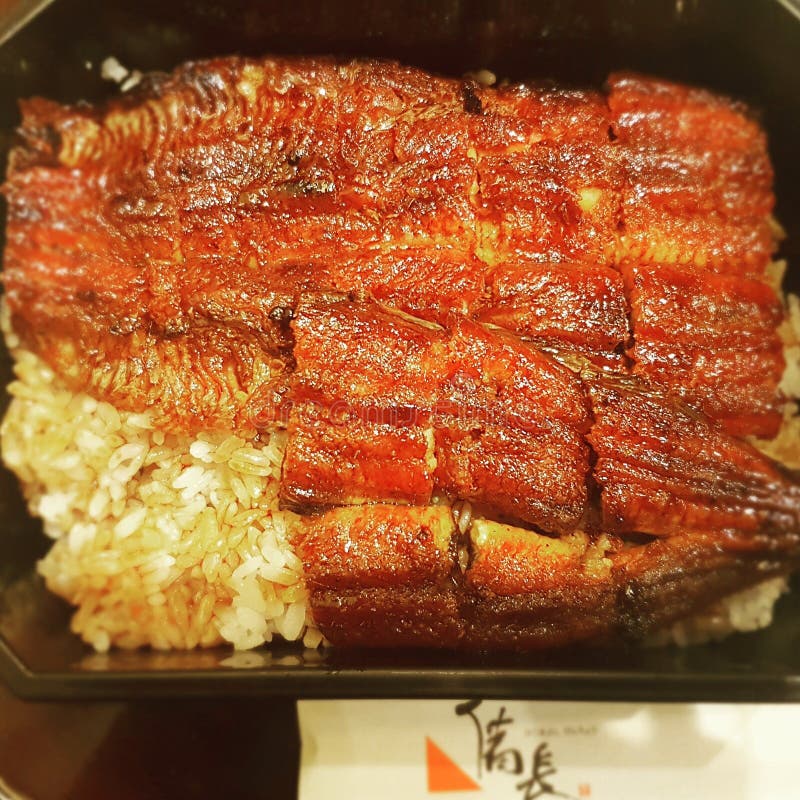 Unagi stock photo. Image of food, unagi, japanese, nagoya - 79556604