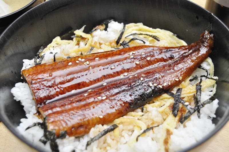 Unagi(eel) stock photo. Image of freshwater, japanese - 5902422