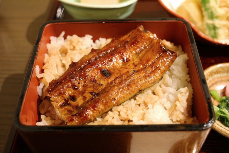 Unagi(eel) stock photo. Image of freshwater, japanese - 5902422