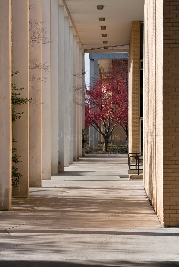 Unca Campus Stock Photos - Free & Royalty-Free Stock Photos from Dreamstime