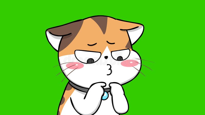 Uncertain Kitten Animation on Green Screen Stock Footage - Video of ...