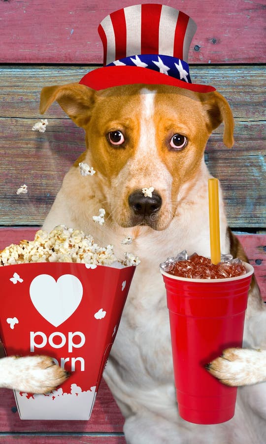 Uncle Sam Doggy. stock image. Image of plastic, delicious - 53876779