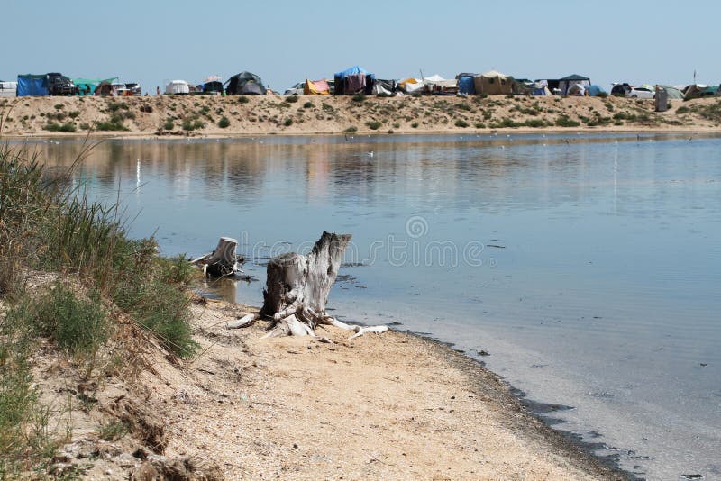 Uncleaned Territory from the Back of the Camping on the Coast of the ...
