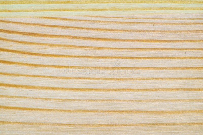 White Pine Texture Pattern stock photo. Image of brown - 100220772