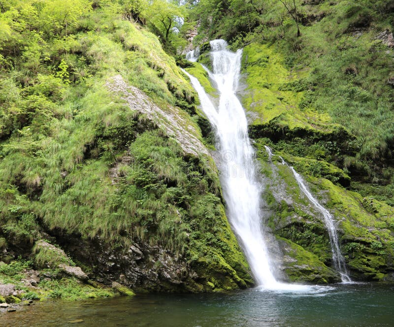 Uncontaminated Environment Surrounded by Nature and a Cascade of Stock ...