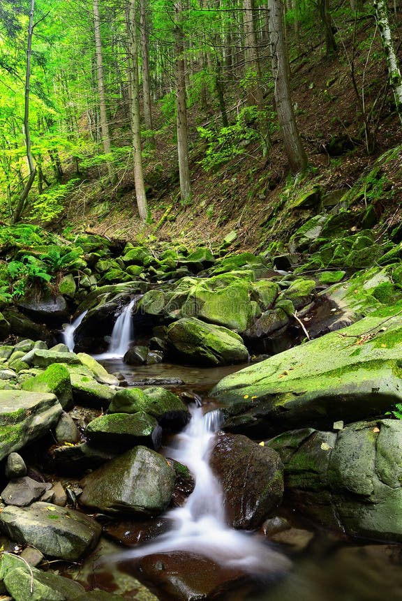 Uncontaminated water stock photo. Image of cool, river - 28014844