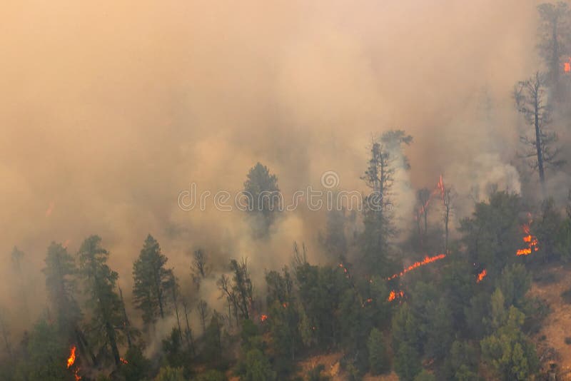 Uncontrolled Fire stock photo. Image of blaze, flammable - 5567136