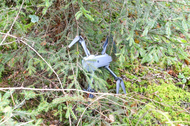 The Uncontrolled Quadcopter Flew Off and Got Stuck in the Branches in ...