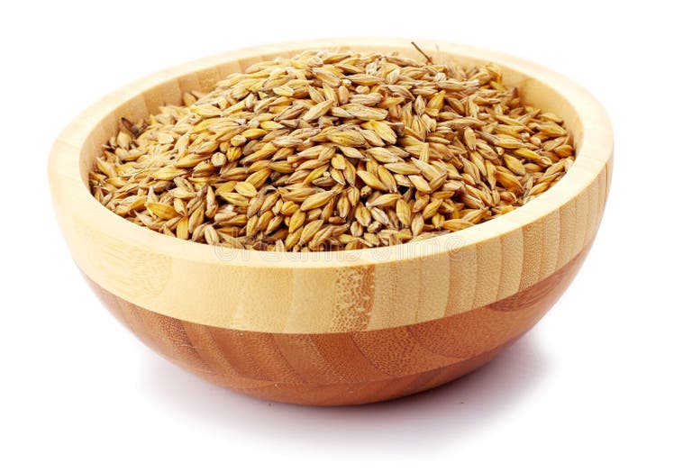 Uncoocked Barley in Plate Isolated Stock Image - Image of crop ...
