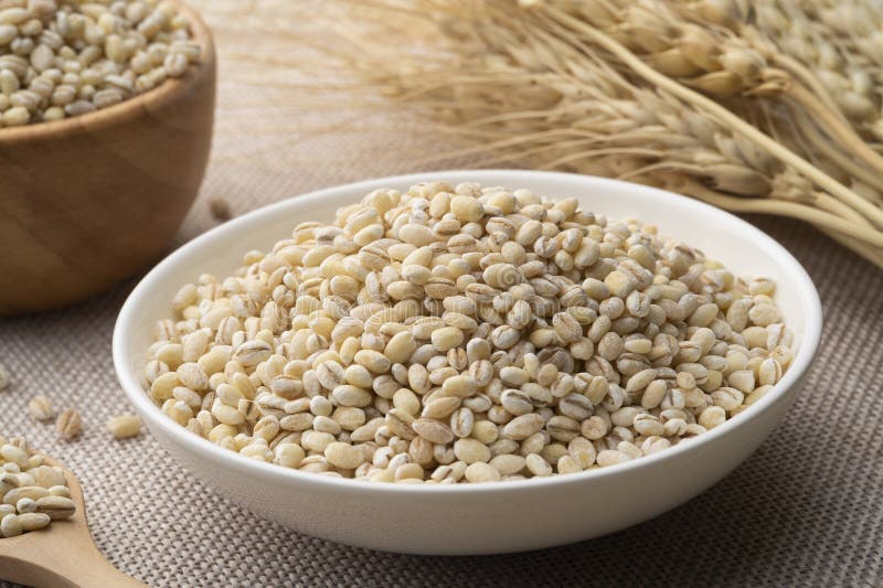 Uncooked Barley Grain Seeds, Pearl Barley Stock Image - Image of brown ...