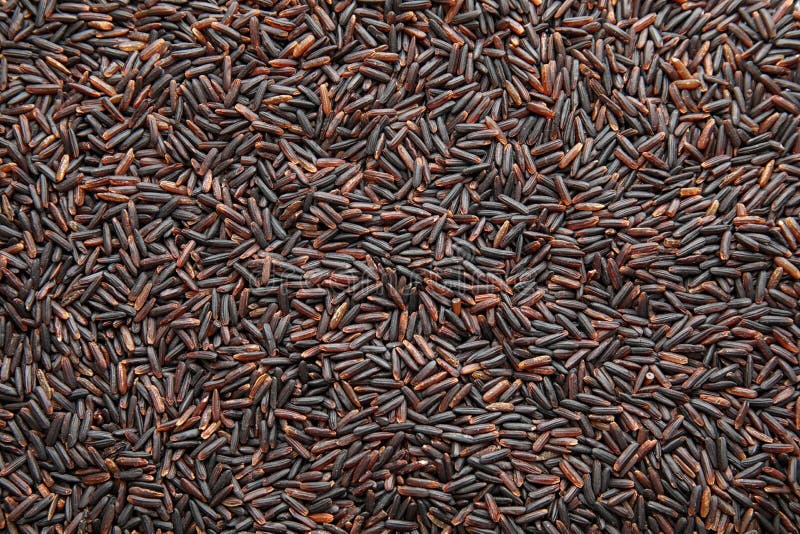 Uncooked Black Rice As Background Stock Image - Image of healthy ...