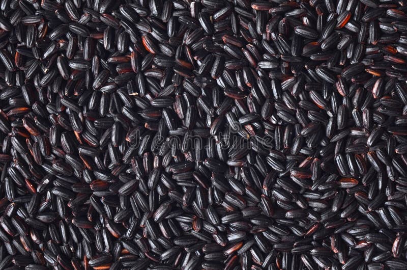 Uncooked Black Rice stock photo. Image of organic, food - 68470504
