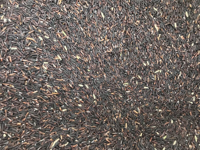 Uncooked rice stock image. Image of natural, plate, jasmine - 97685907