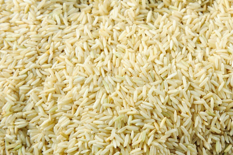 Uncooked Brown rice grains stock photo. Image of kernels - 23395528