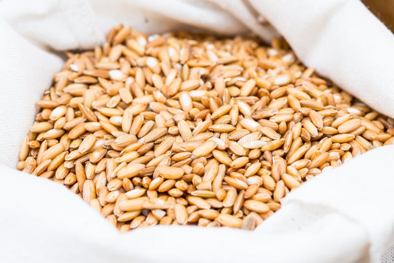 Uncooked Brown Rice Texture in White Cotton Bag Stock Image - Image of ...