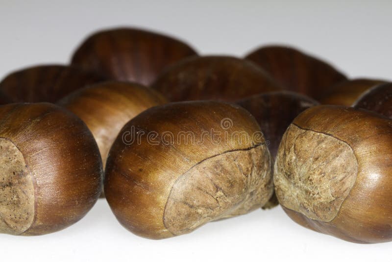 Uncooked Chestnuts stock image. Image of ingredient - 104872895
