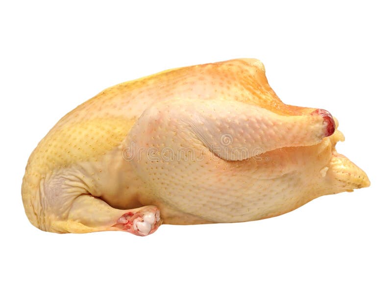 Uncooked chicken leg. stock image. Image of closeup, hunger - 23281593