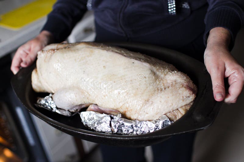 Uncooked chicken stock image. Image of recipe, grill - 28514677