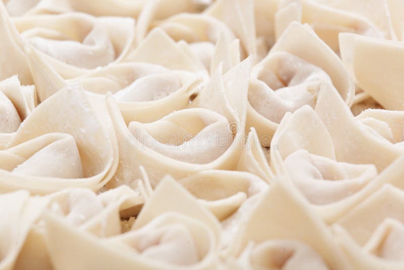 Uncooked Chinese Meat Dumpling Stock Image - Image of festival ...