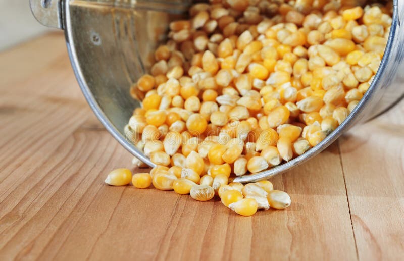 Uncooked Corn Grains , Maize Stock Image - Image of cereal, dietetic ...