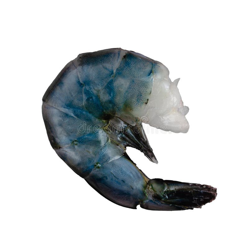 Raw Blue Colossal Shrimp on a White Background Stock Photo - Image of ...