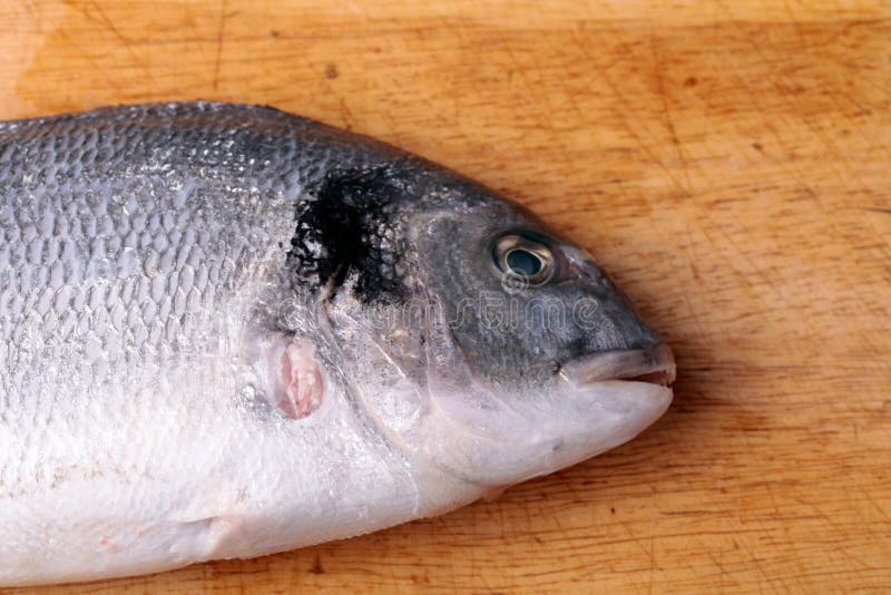 Uncooked fish stock photo. Image of gourami, healthy - 50582730