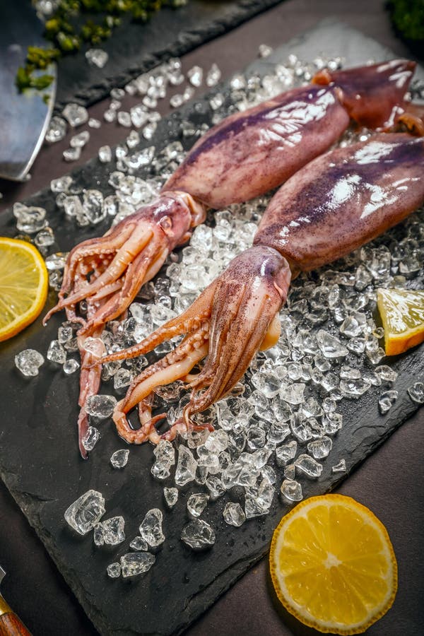 Fresh cuttlefish stock image. Image of lemon, slate, uncooked - 99109781