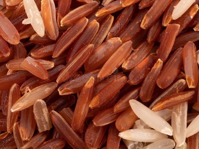 Uncooked Germinated Brown Rice in Closeup Stock Photo - Image of ...