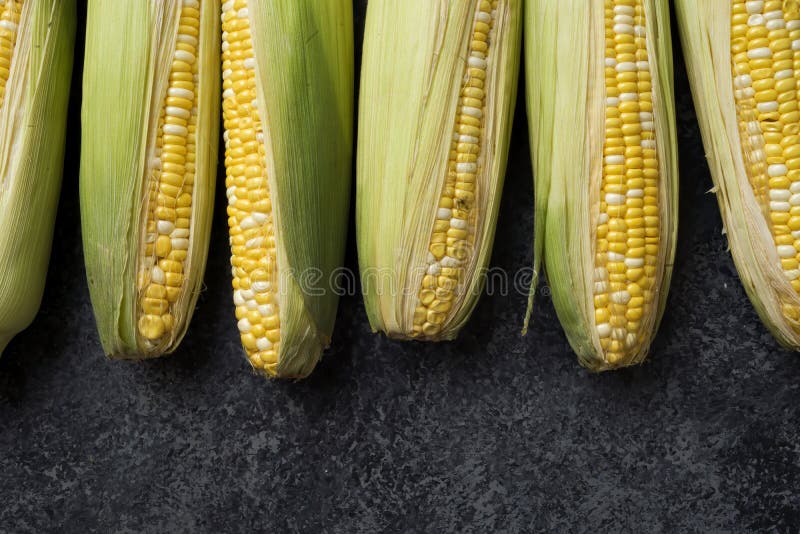 Uncooked Golden Quinoa in a Bowl Stock Image - Image of uncooked ...