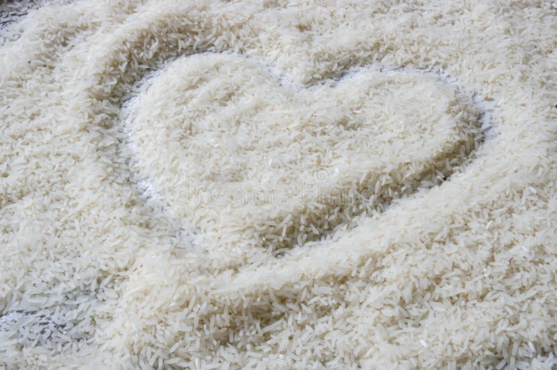 Uncooked jasmine rice stock photo. Image of copy, east - 40608360