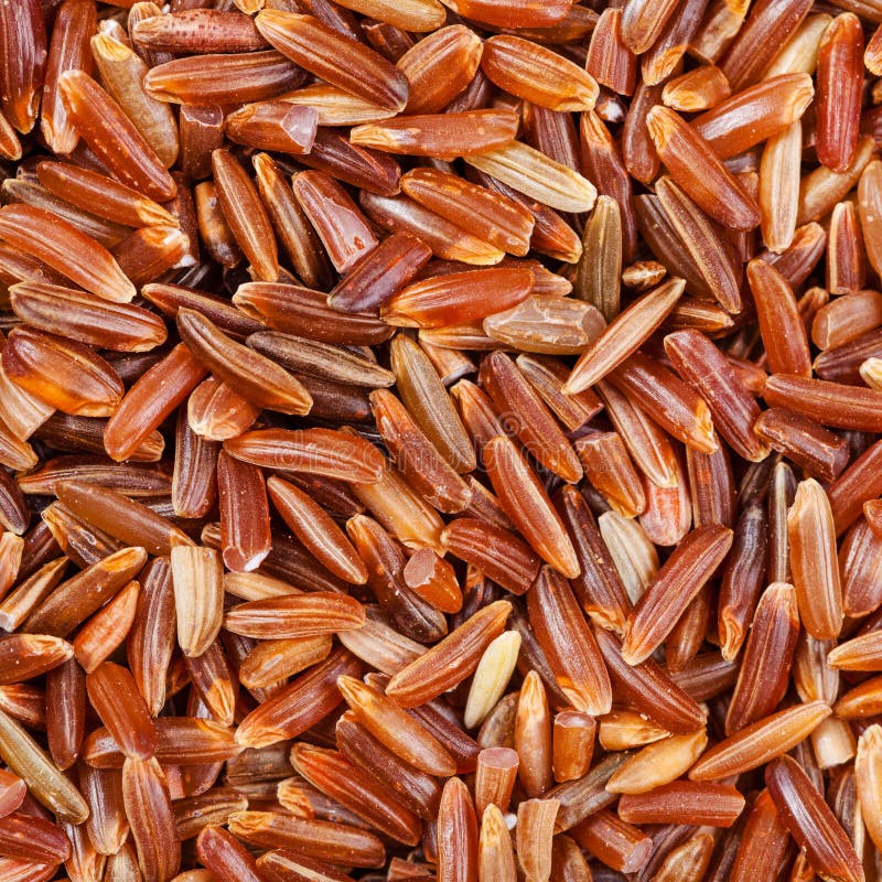 Close Up Of Uncooked Whole Grain Brown Rice Stock Image - Image of ...