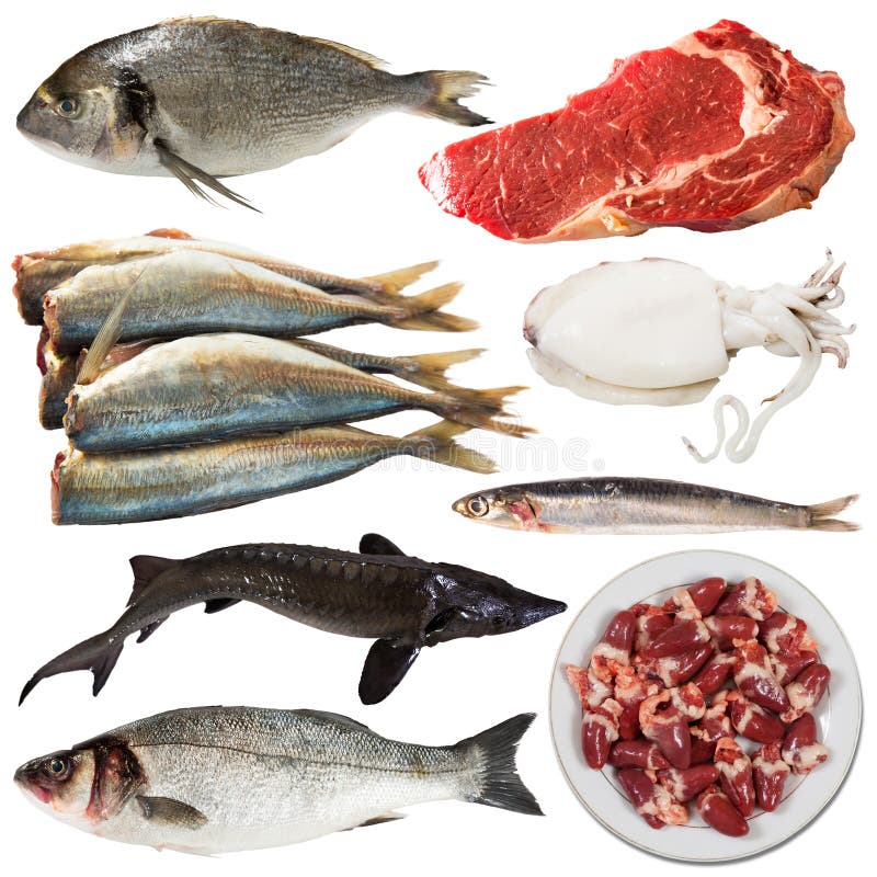 Uncooked Meat and Fish Products Stock Photo - Image of seafood, meat ...