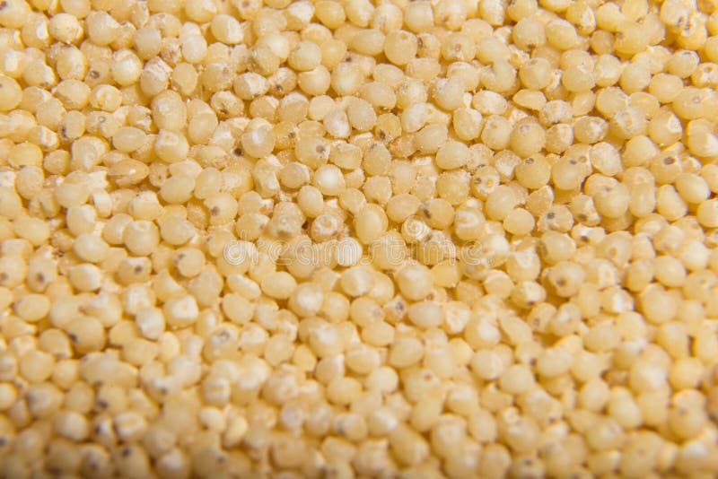 Uncooked Millet Cereal Closeup Macro Stock Photo - Image of eating ...