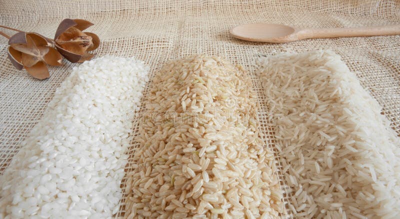 Uncooked Minerbe, Ribe and Basmati Rice Stock Image - Image of dried ...
