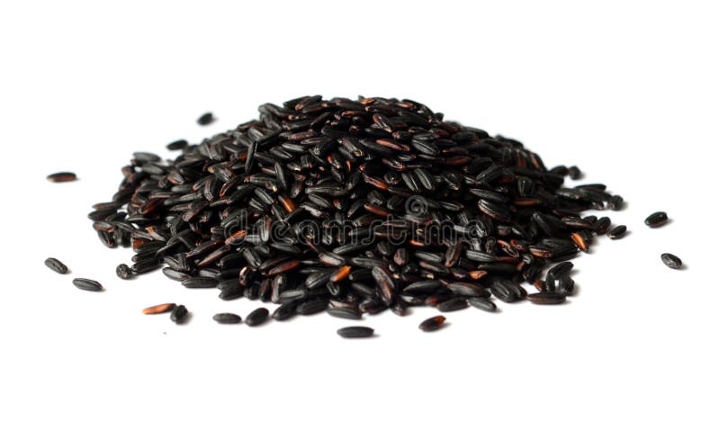 Uncooked, Organic Black Rice Stock Image - Image of grain, ingredient ...