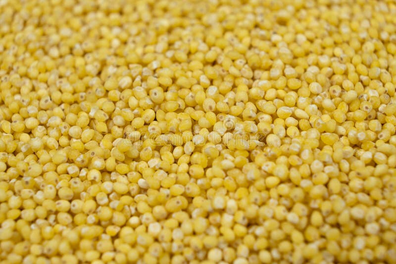 Uncooked Organic Raw Millet Grains Close-up Background Stock Image ...