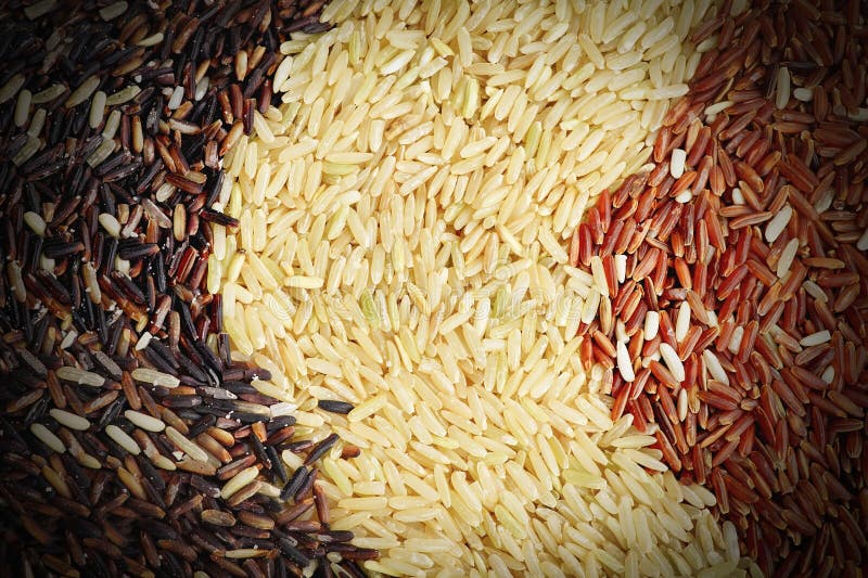 Uncooked Organic Rice and Red Rice in a Plastic Bowl Stock Photo ...