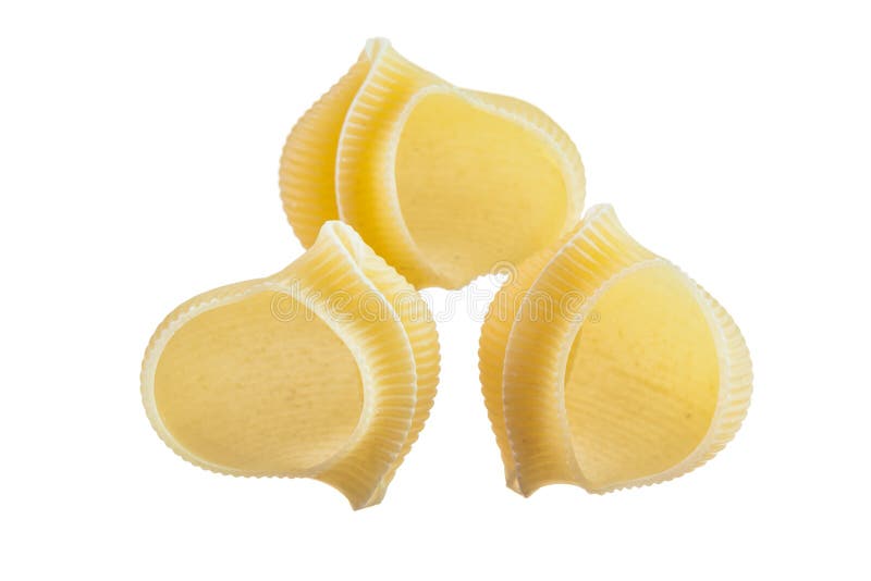 Uncooked Pasta Shells Isolated on White Stock Image - Image of tasty ...