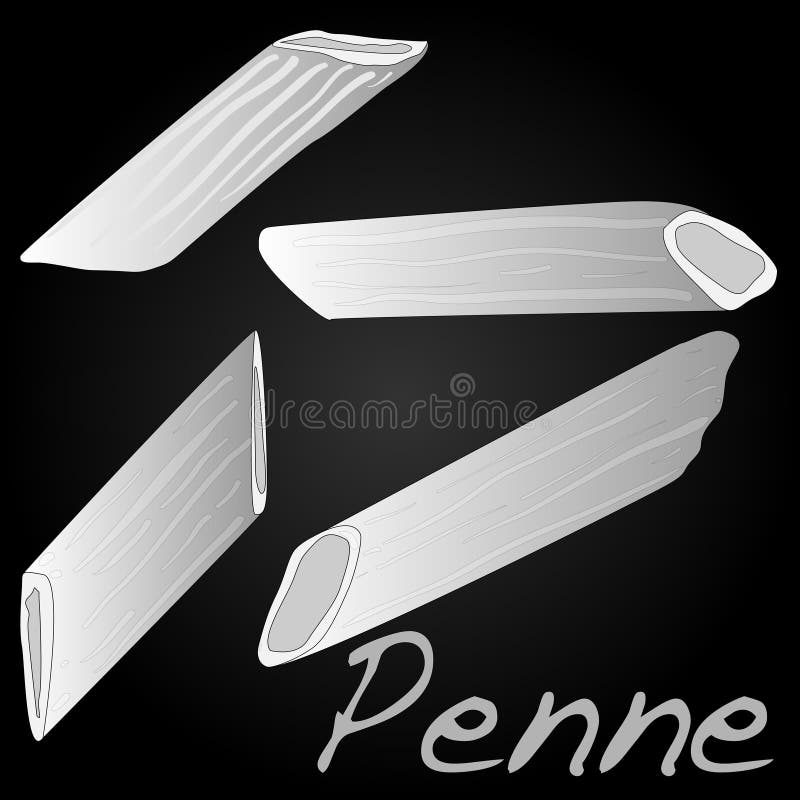 Uncooked penne pasta stock vector. Illustration of food - 83637620