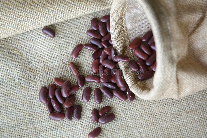 Uncooked red beans stock photo. Image of texture, beans - 39121972
