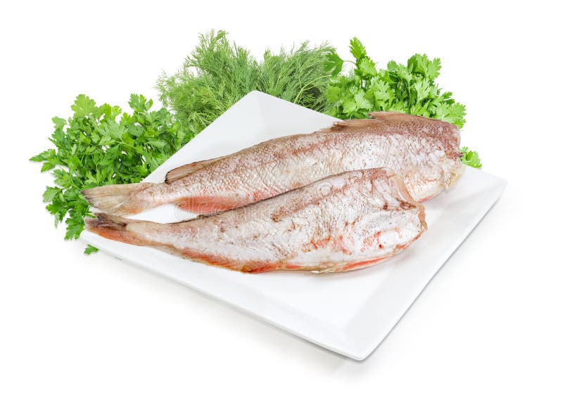 Uncooked Red Cod on White Dish and Herbs Stock Photo - Image of kitchen ...