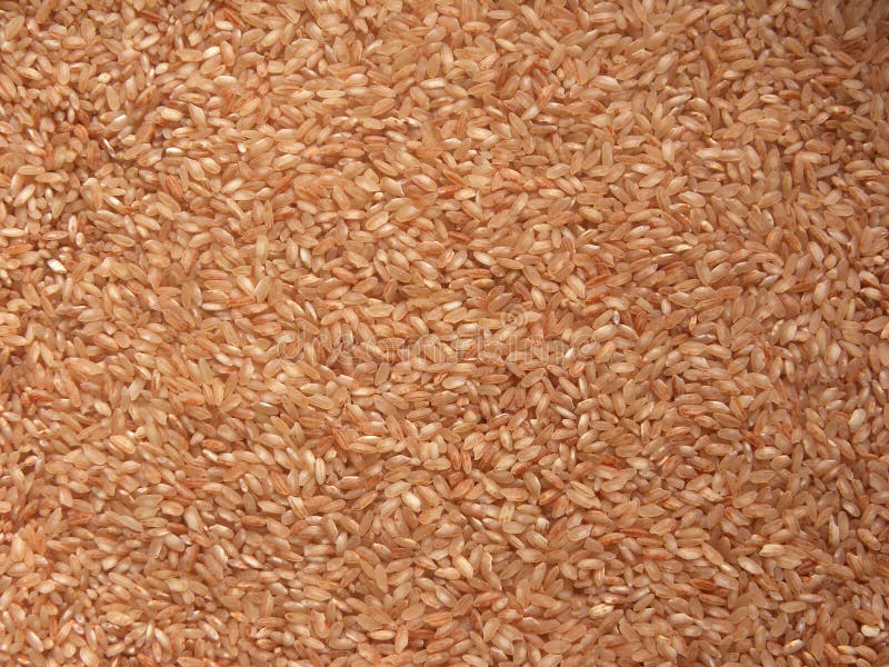 Uncooked red color rice stock photo. Image of healthy - 167351940