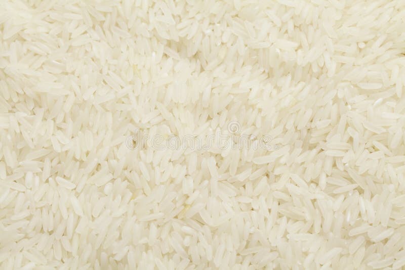 Uncooked Rice stock photo. Image of culture, cooking - 27317324